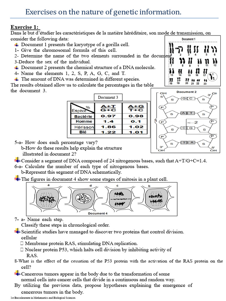 Genetic Information and Cell Division Exercises | PDF | Dna | Cell ...
