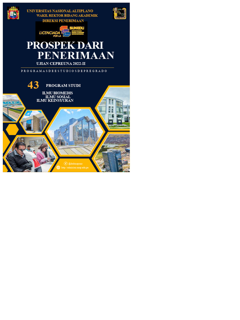 Prospektus Cepreuna 2022-II | PDF