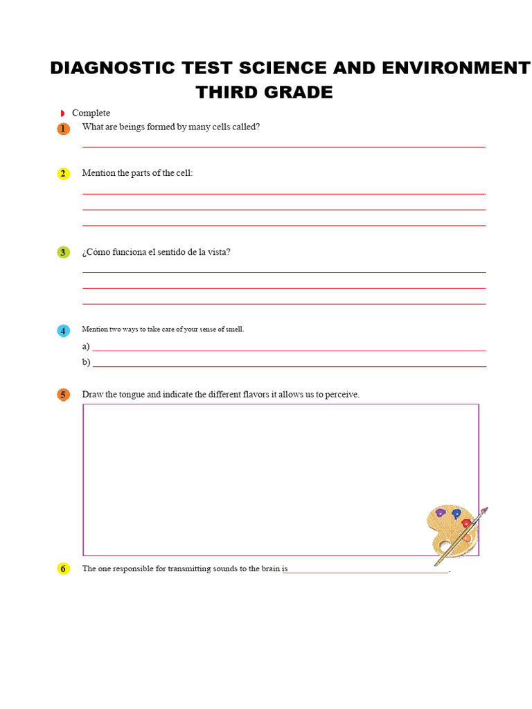 Third Grade Science Diagnostic Test | PDF | Anatomy | Organ (Anatomy)