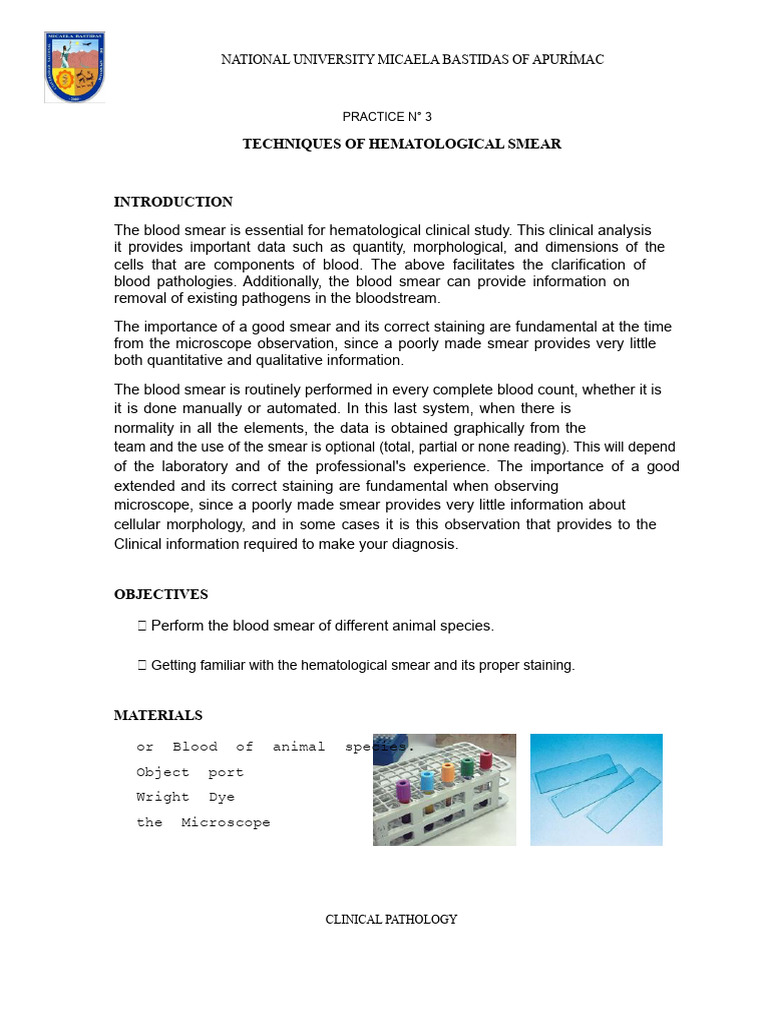 PRACTICE N° 3 SMEAR.docx | PDF | Granulocyte | Histology