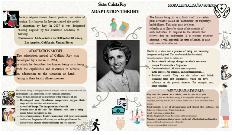 Callista Roy's Adaptation Theory Explained | PDF | Social Psychology ...