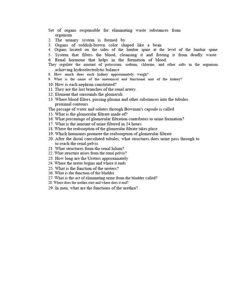 Excretory System Questionnaire | PDF