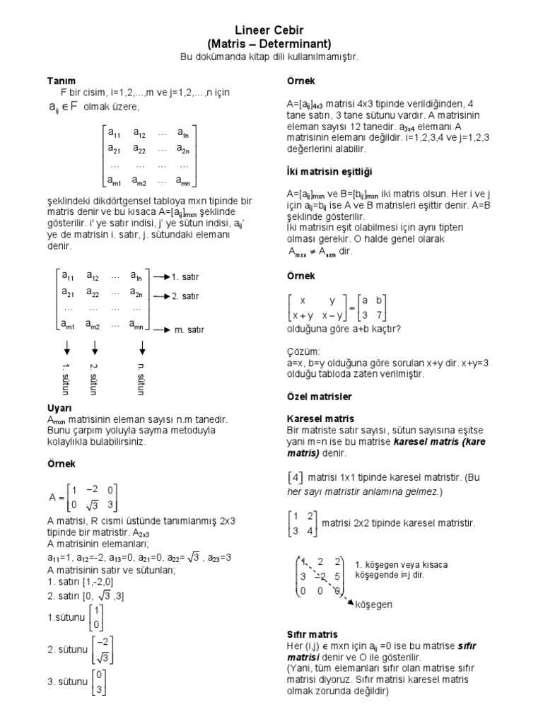 Lineer Cebir Matris Determinant | PDF