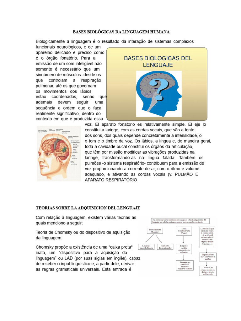 Bases Biológicas Da Linguagem Humana | PDF | Voz humana | Som