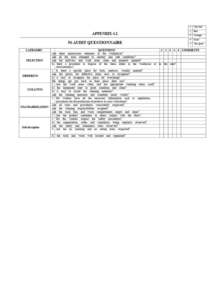 Annex 4.2 5S Audit Questionnaire | PDF