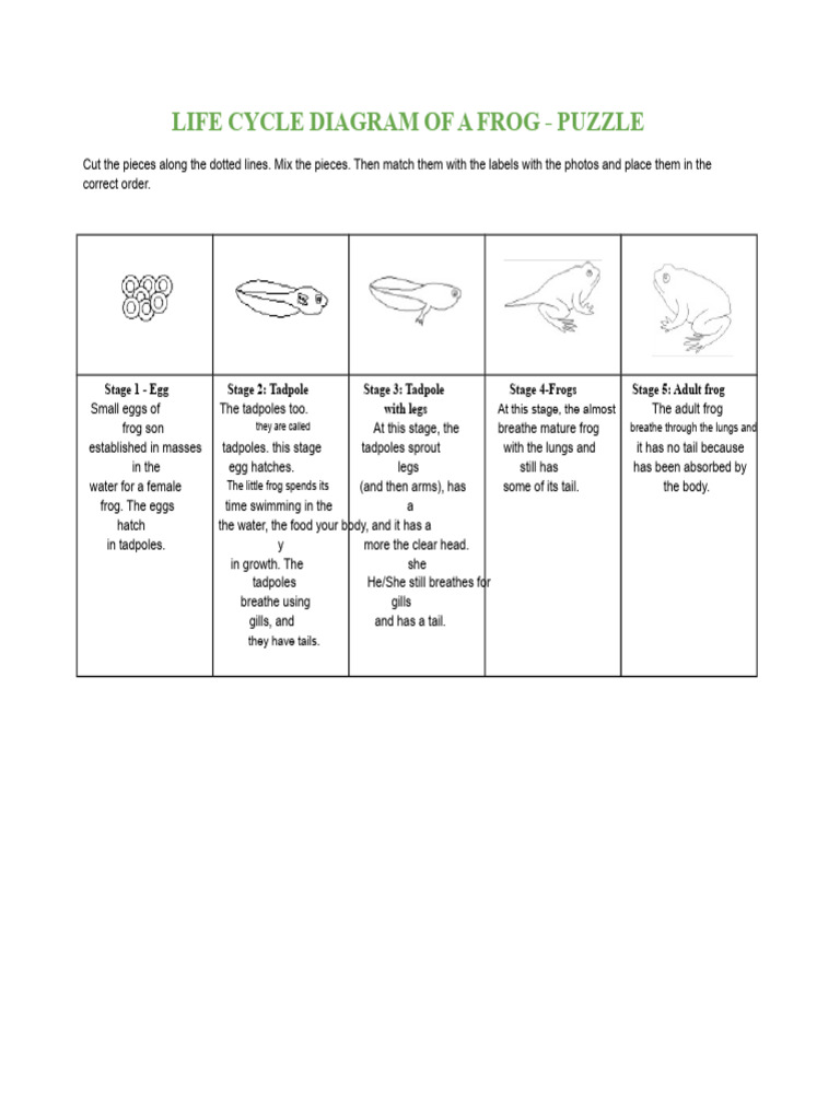 Life Cycle Diagram of A Frog Pond Water Project and Tadpoles | PDF