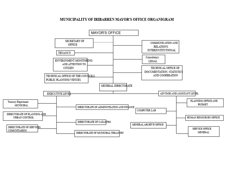 Organizational Chart of The Iribarren Mayor's Office 6 | PDF