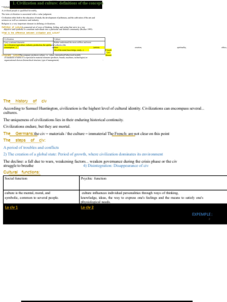 Summary Civilization S1 | PDF