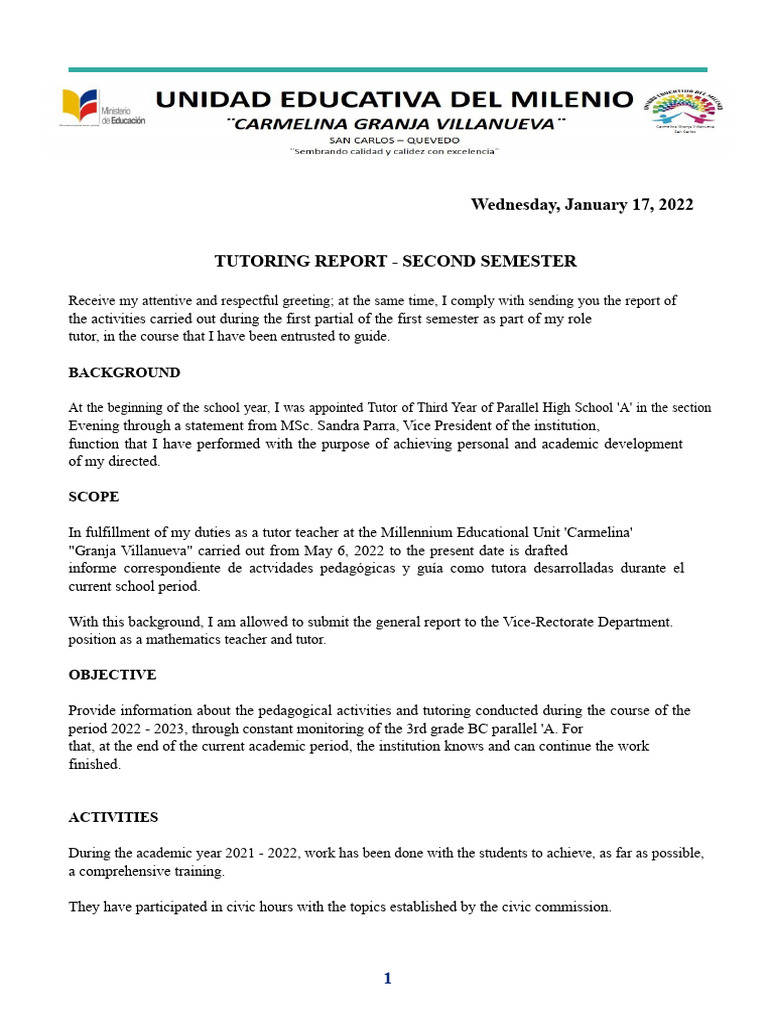 Tutoring Report for Third Year High School | PDF
