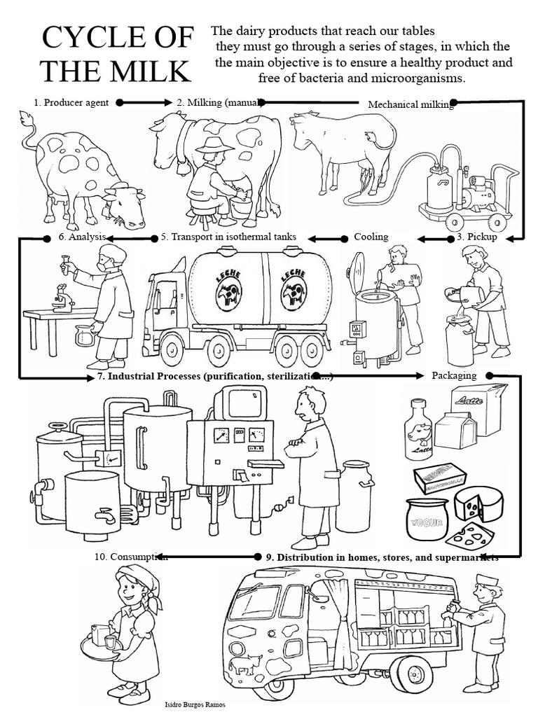 The Milk Cycle | PDF