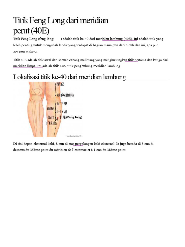 Lokasi dan Manfaat Titik Feng Long 40E | PDF
