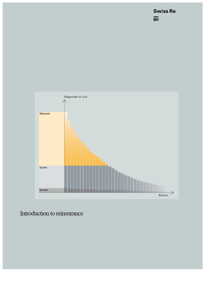 Understanding Reinsurance Basics | PDF | Reinsurance | Insurance