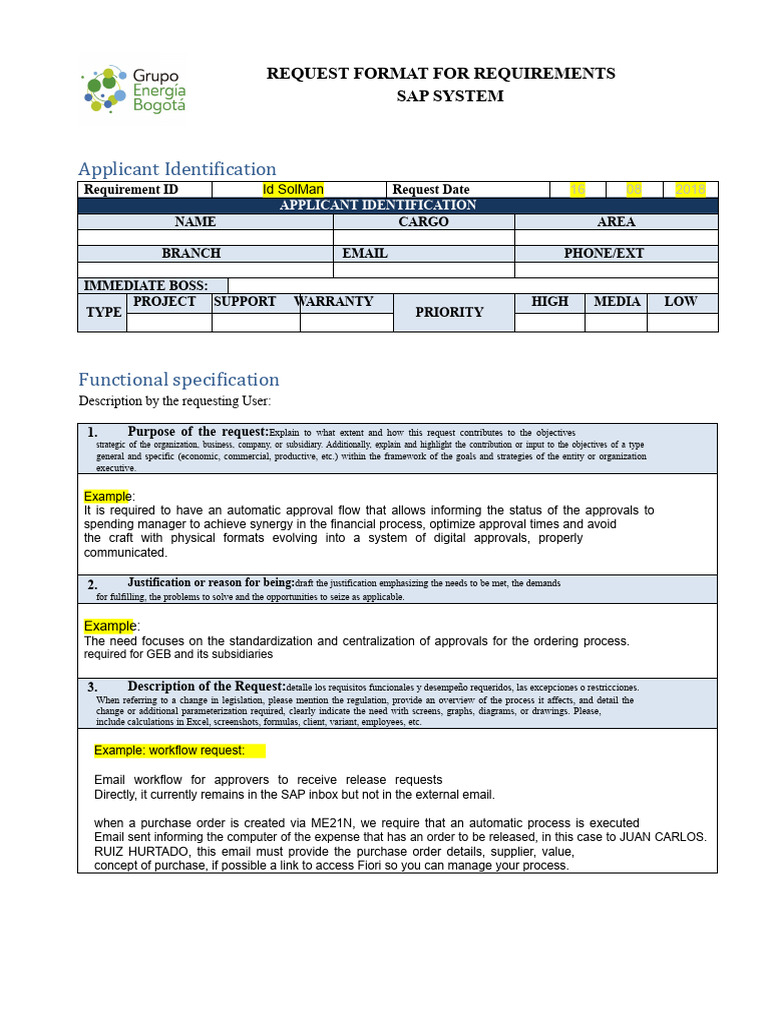 SAP Requirements Form - Example | PDF