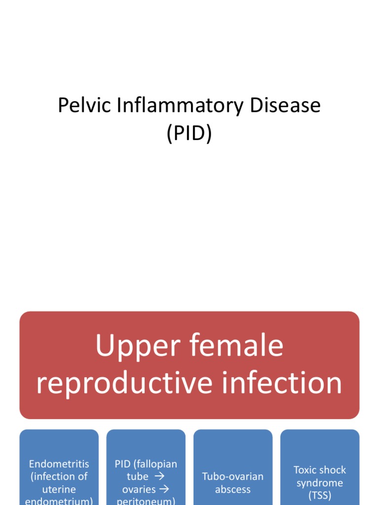 Pelvic Inflammatory Disease (PID) | PDF | Sexual Anatomy | Women's Health