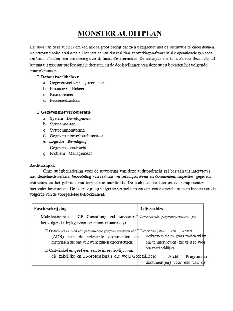 Voorbeeld Auditplan | PDF