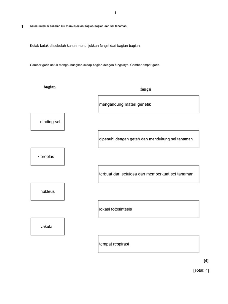Ujian Kertas Biologi Kelas 9 O Level | PDF