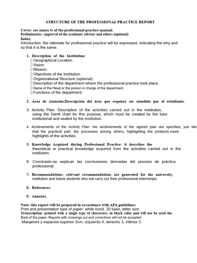 Structure of The Professional Practice Report | PDF