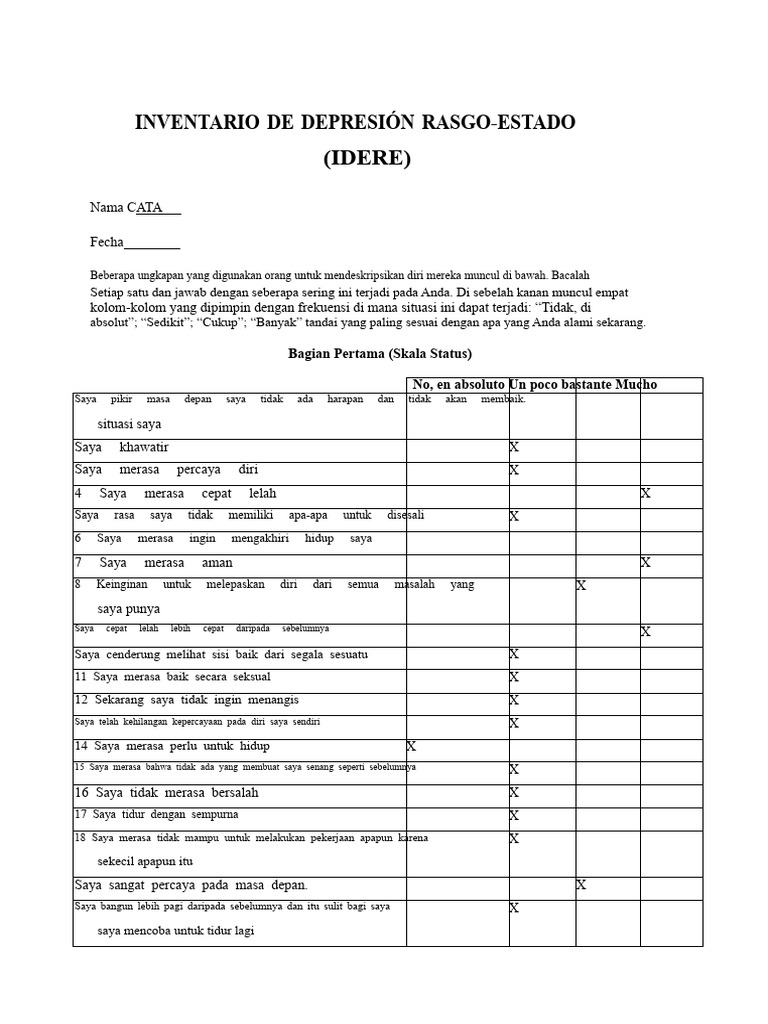 Inventar Depresi Ciri-Status (Idere) | PDF