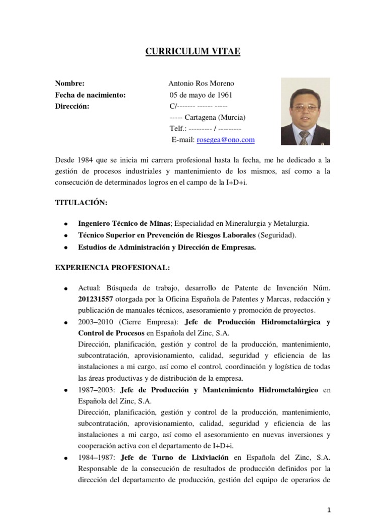 CURRICULUM VITAE.- A.Ros (Ingeniería Metalúrgica & Química) | Zinc ...