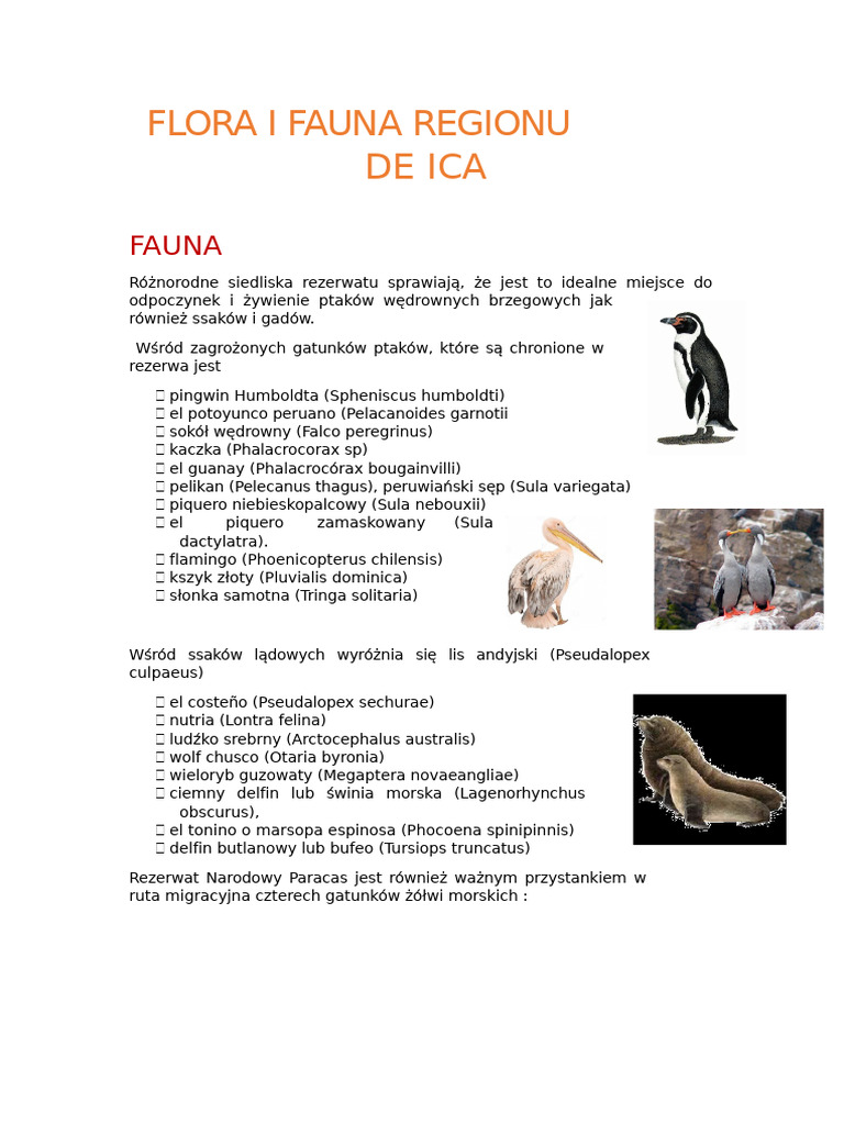 Flora I Fauna Regionu Ica | PDF