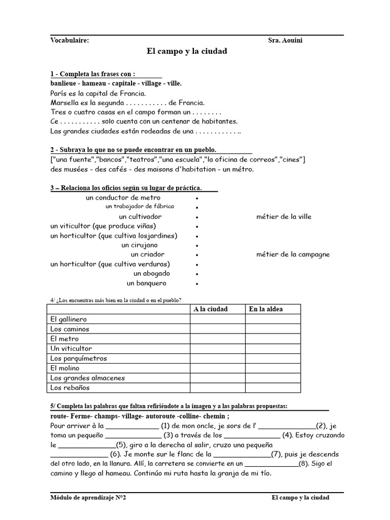 Vocabulario El Campo y La Ciudad | PDF | Botánica | Horticultura