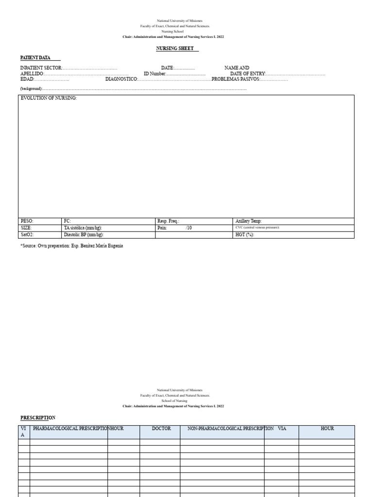 Nursing Patient Data Sheet Template | PDF | Social Programs | Health ...