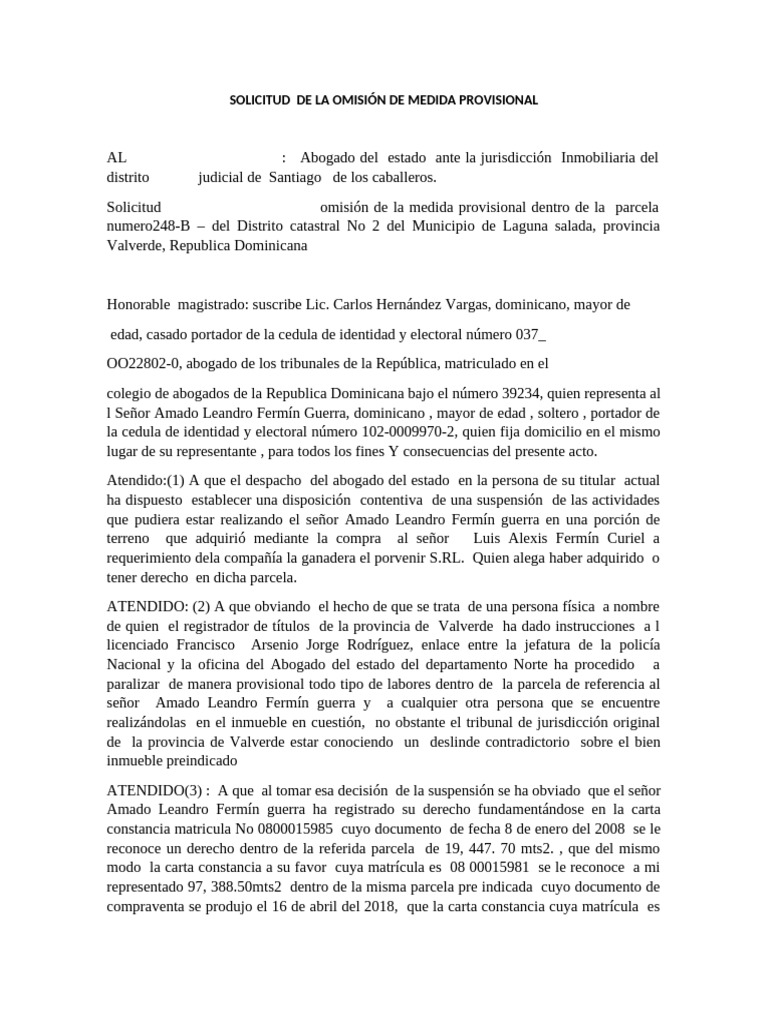 Solicitud de Omision de Medida Provisional 2025 Leandro Fermin | PDF ...