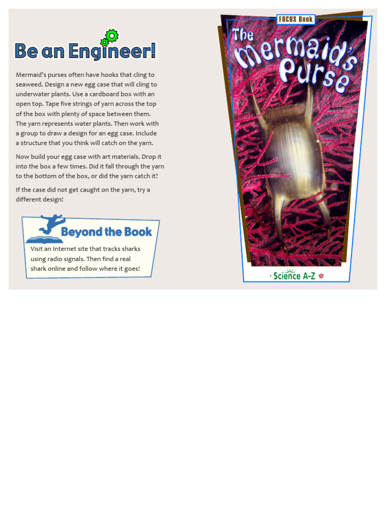 Sience-The Mermaid's Purse - Life Cycles 3-4 | PDF | Egg | Sharks