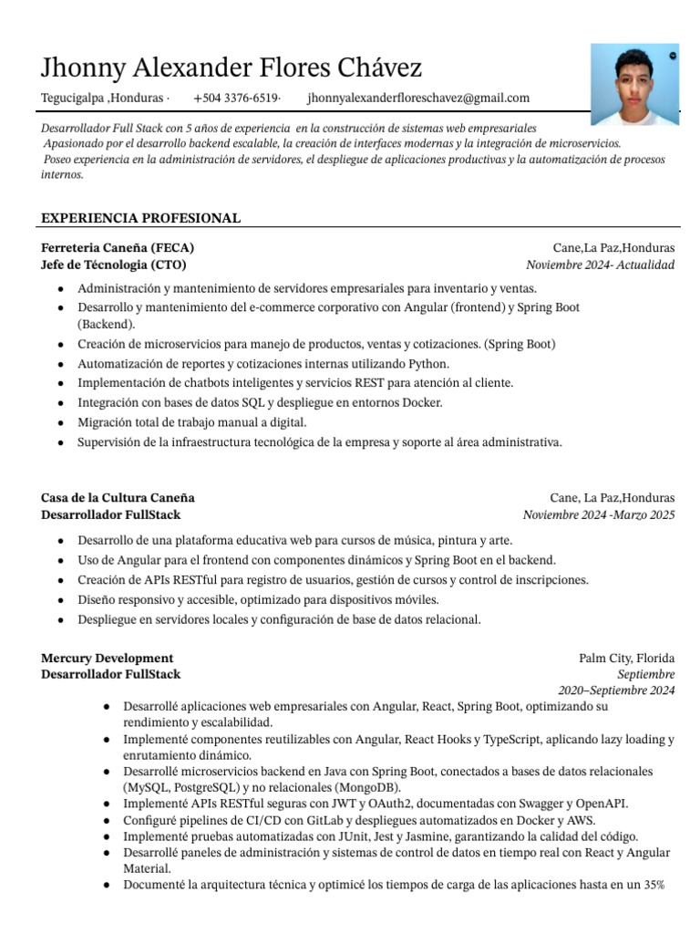 Curriculum Jhonny Alexander Flores Chavez | PDF | Mi sql | Informática
