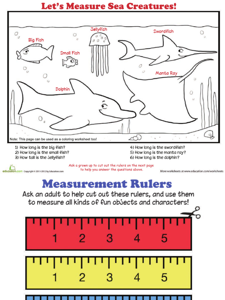 How To Measure Sea Creatures | PDF