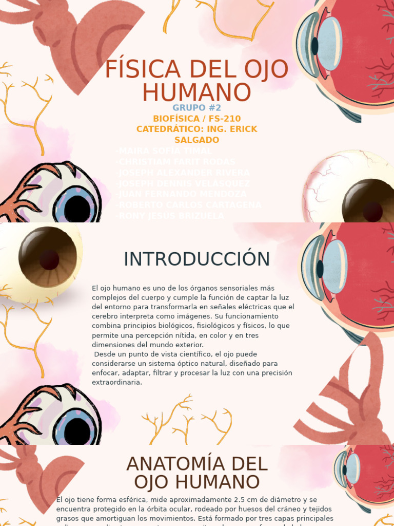 Física Del Ojo Humano | PDF | Ojo humano | Percepción visual