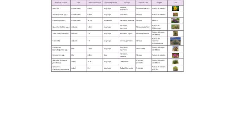 Nombre Común | PDF | Plantas | Botánica