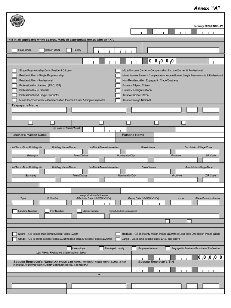 RMC 53-2024 1901 Jan. 2024 ENCS - Annex A | PDF | Invoice | Taxes