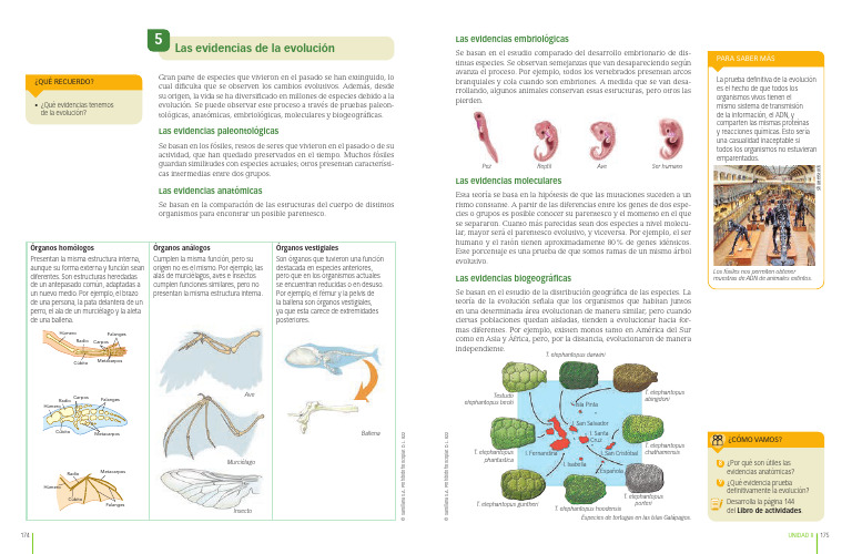 Las EVIDENCIAS de La Evolucion | PDF | Evolución | Especies