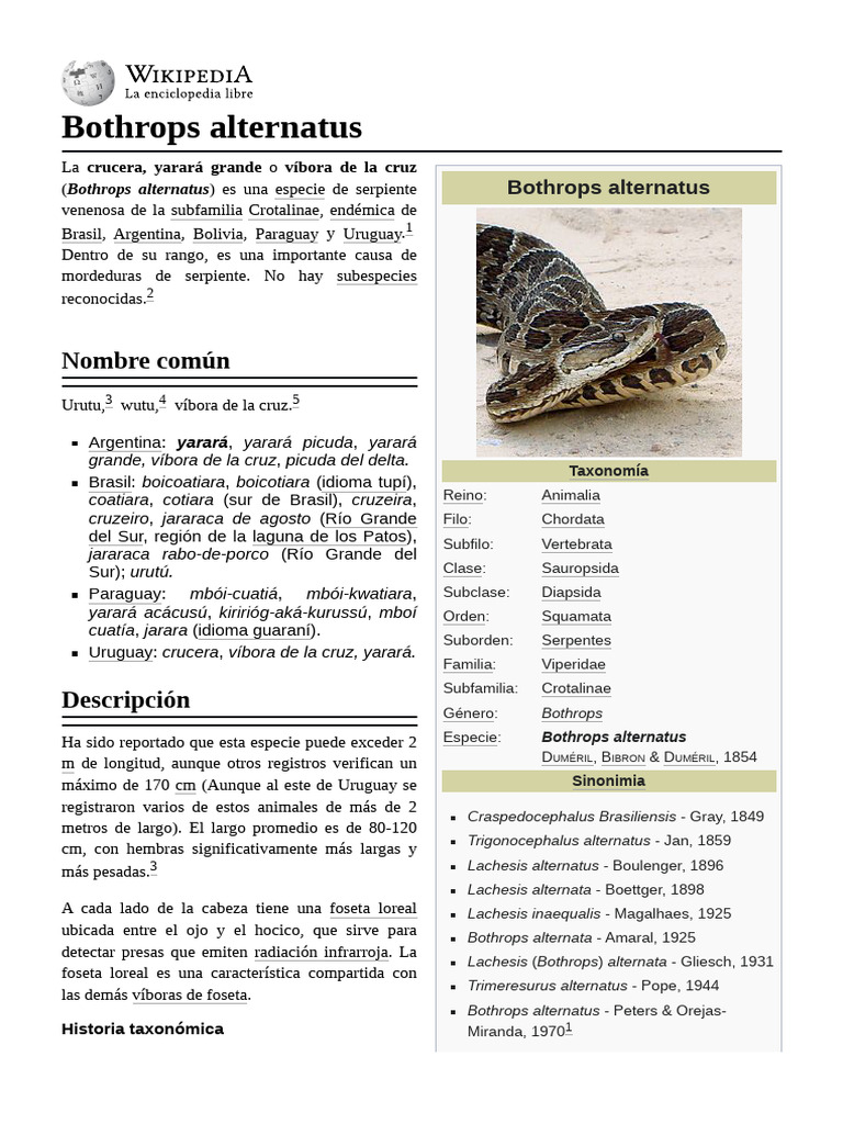 Víbora de la cruz: Bothrops alternatus | PDF | Aletinofidia | Serpiente