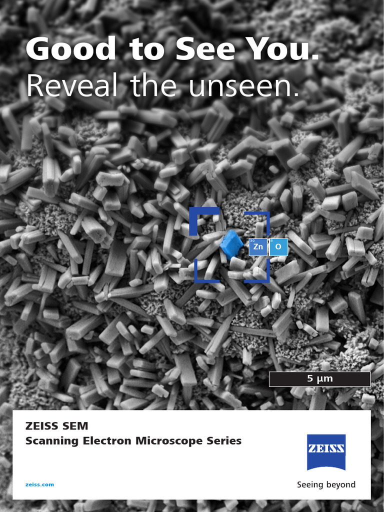 ZEISS Scanning Electron Microscopes Overview | PDF | Scanning Electron ...