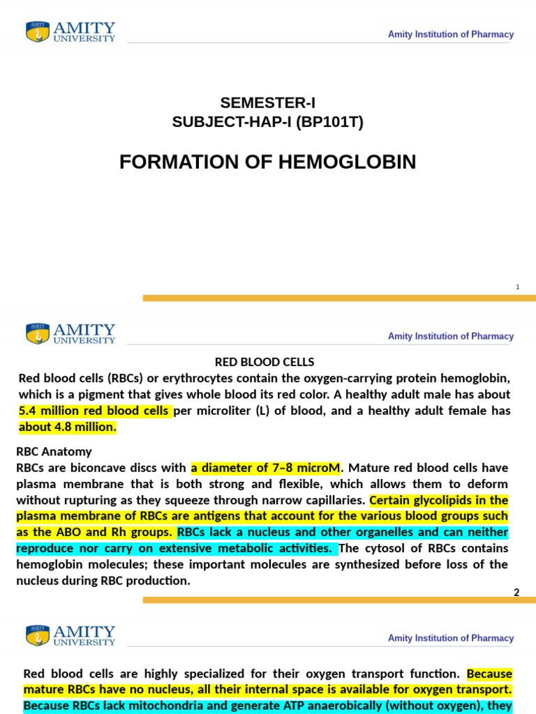 Lecture 21 Formation of Hemoglobin-1 | PDF | Red Blood Cell | Hemoglobin