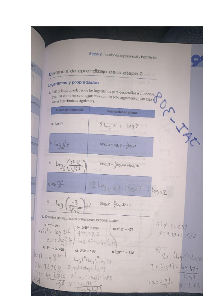 Evidencia y Lab Mate | PDF