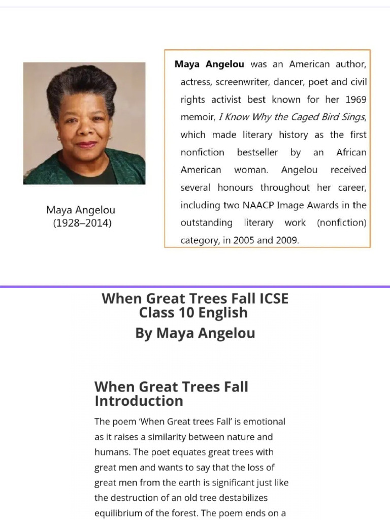When Great Trees Fall | PDF