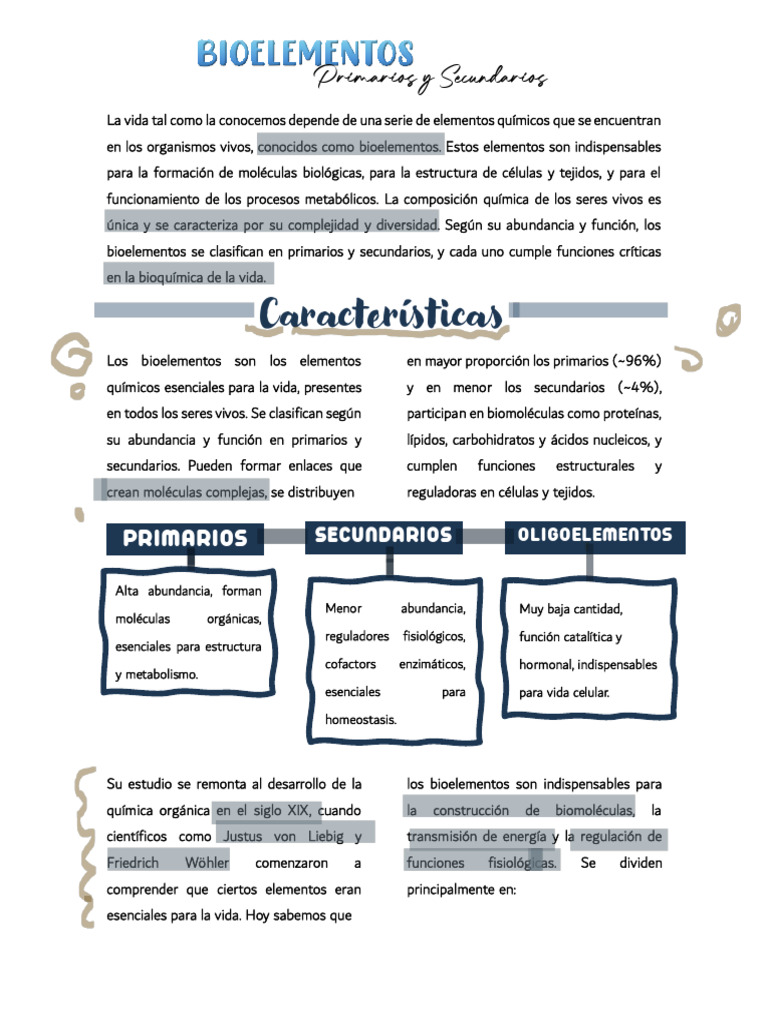 Bio Elementos | PDF | Metabolismo | Proteínas