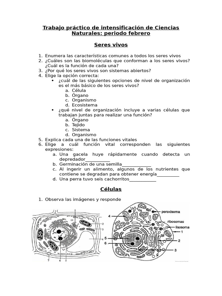 Cnt Afte Seres Vivos | PDF | Masa | Volumen