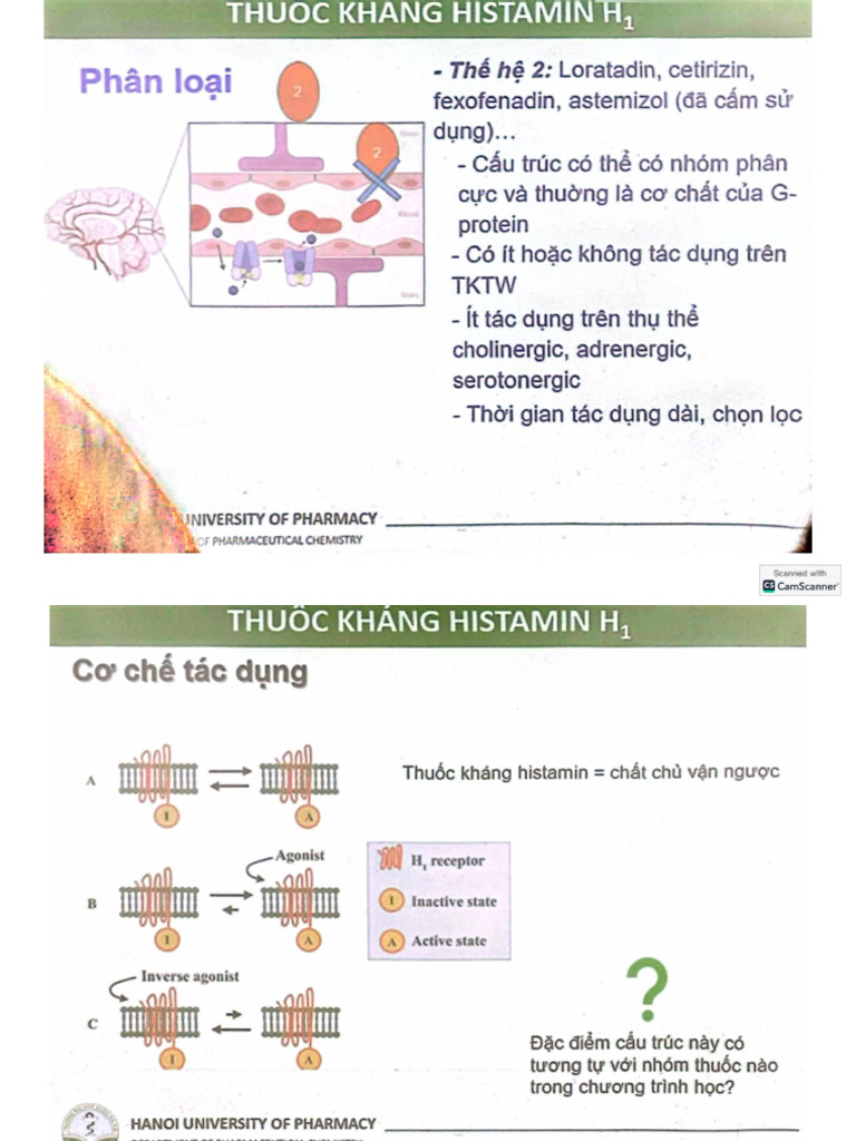 Kháng Histamin | PDF