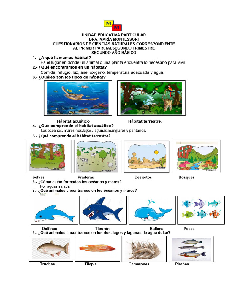 Cuestionario CCNN 2do 2p 2t | PDF