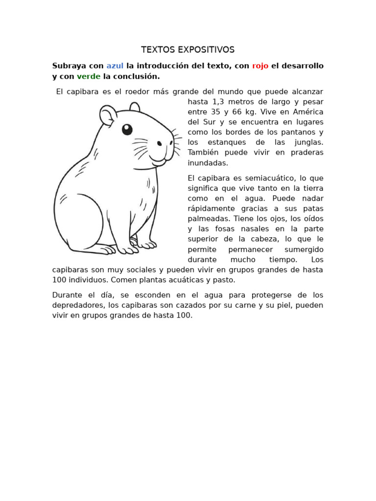 Textos Expositivos | PDF