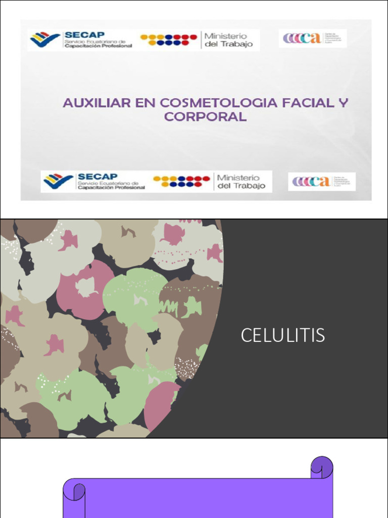 CELULITIS SECAP | PDF | Masaje | Especialidades Medicas