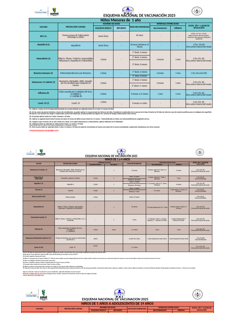 Esquema Actualizado - 2025 - VSR | PDF | Vacunas | Enfermedades y trastornos