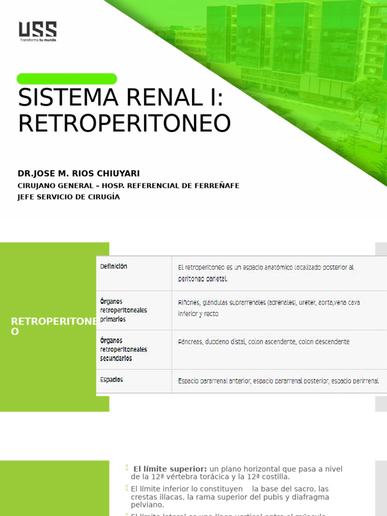 Sistema Renal I - Retroperitoneo | PDF
