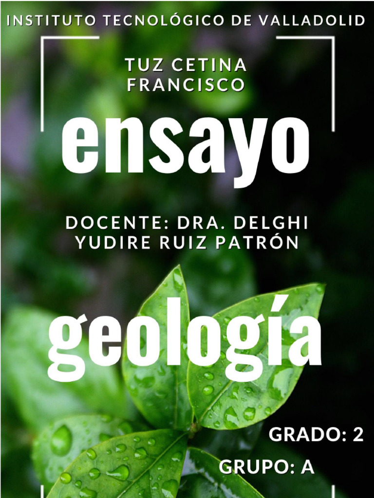 Ensayo - Tema5 - Tuz Cetina Francico - 2A | PDF | Meteorización | Geología