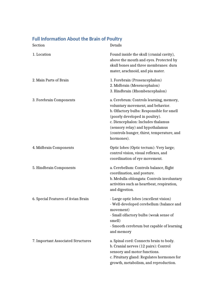 Poultry Brain Information | PDF | Brain | Cerebrum
