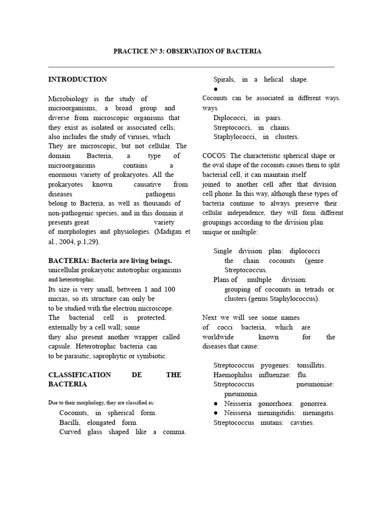 Report #3 Observation of Bacteria | PDF | Staining | Bacteria